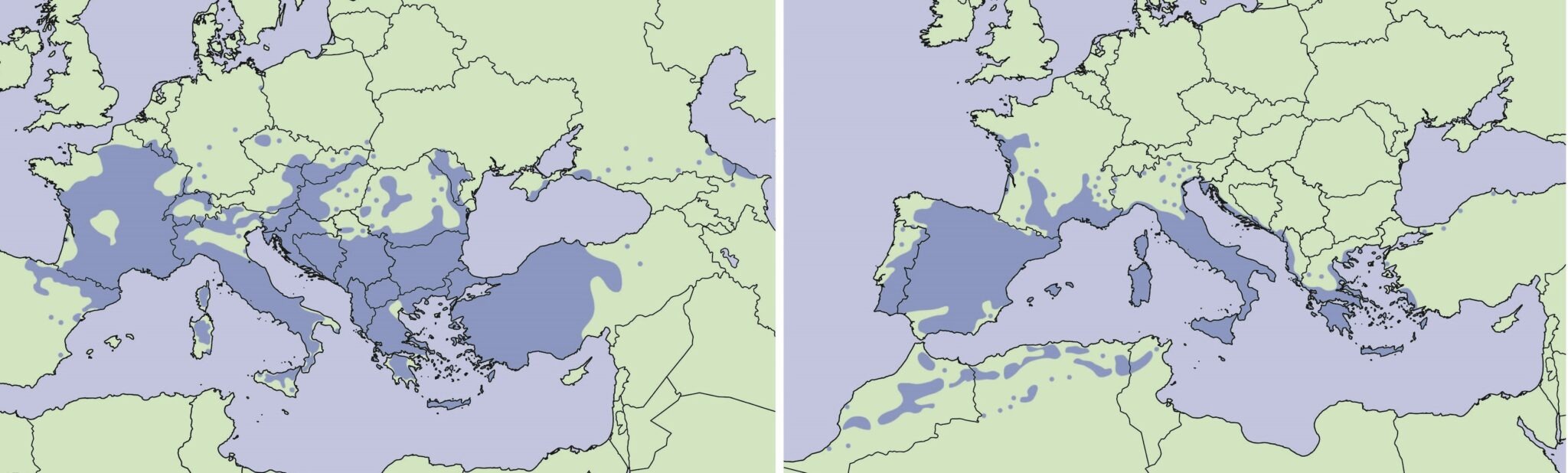 Le Chêne - Quercus & Garrulus