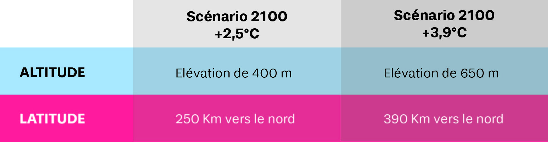 Le Chêne - Quercus & Garrulus