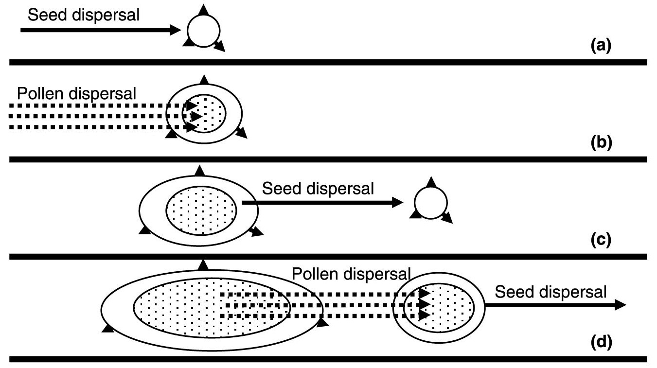 Le Chêne - Quercus & Garrulus